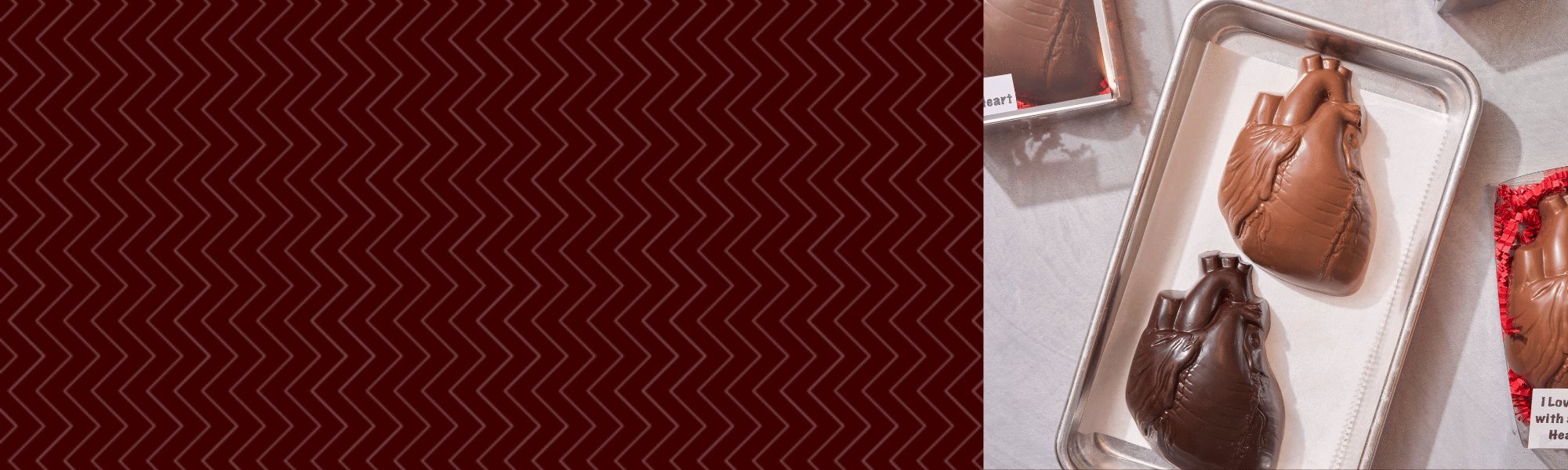 Anatomical Chocolate Body Parts